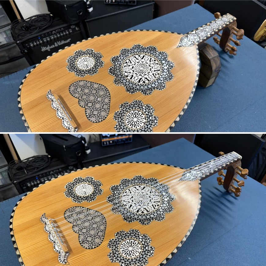 Other stringed instruments – Agrajag Guitars